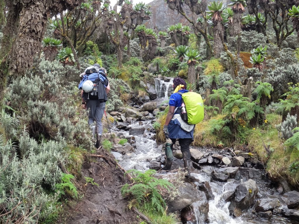 7 Days Rwenzori classic tour. - Rwenzori Mountaineering